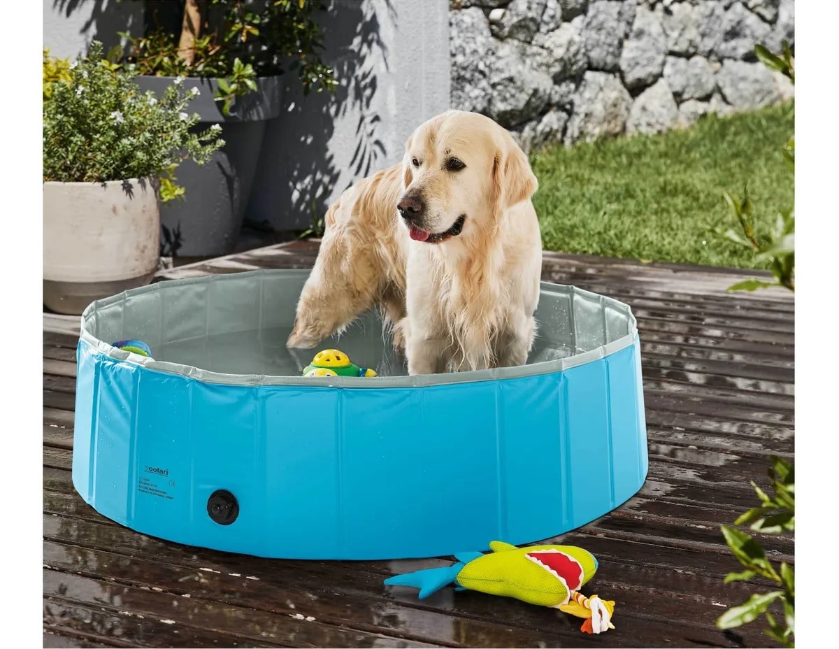 Piscine pour chien Lidl Zoofari au prix cassé de de 19,99€